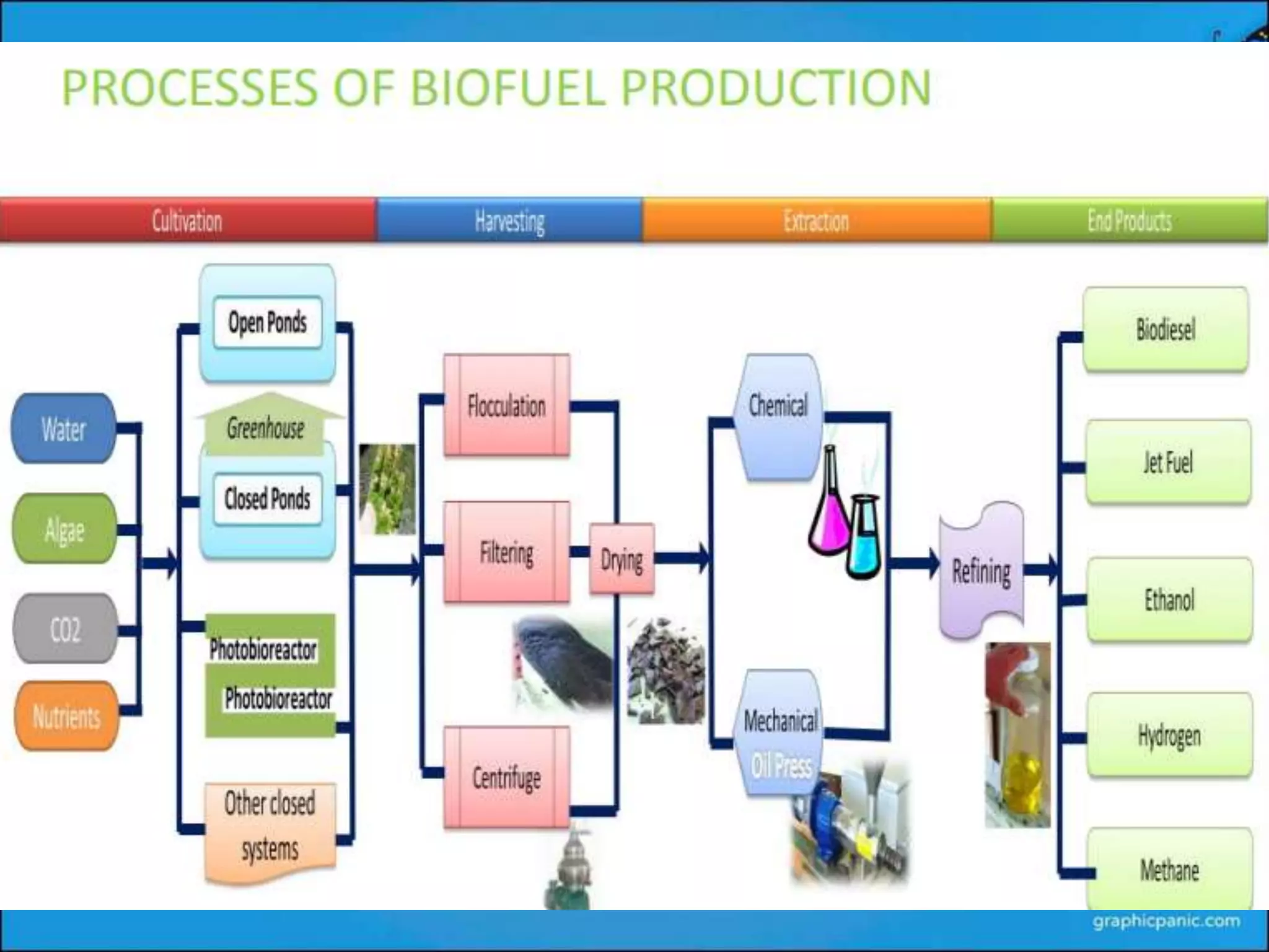 Biocrude and gasification | PPT