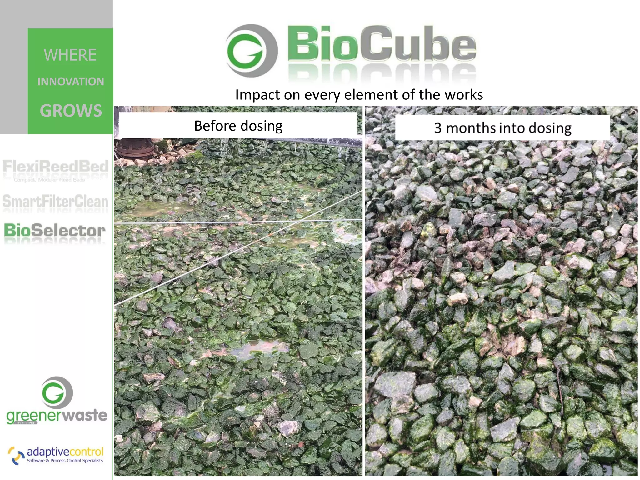 BioCube bacteria dosing unit for wastewater treatment | PPT