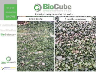 BioCube bacteria dosing unit for wastewater treatment | PPT
