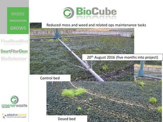 BioCube bacteria dosing unit for wastewater treatment | PPT
