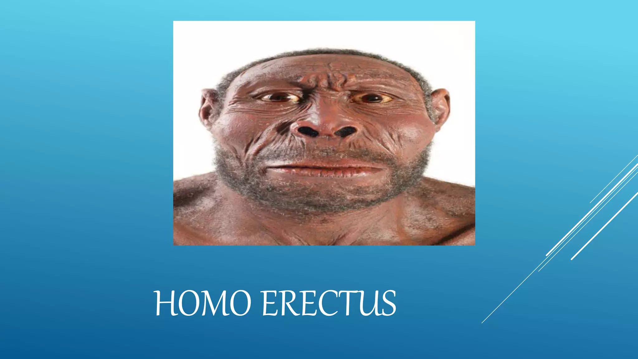 Biocultural Evolution | PPTX