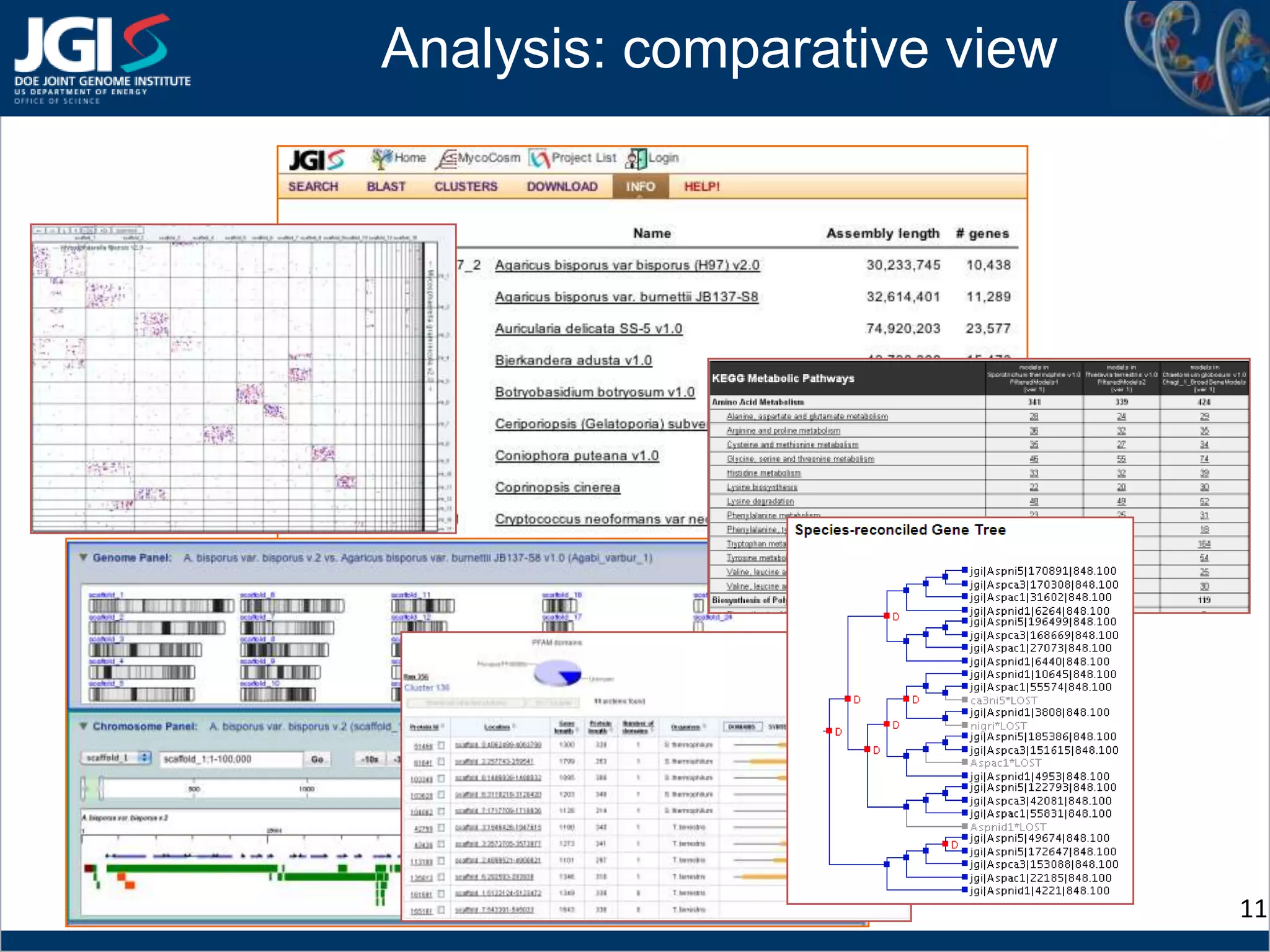 Genomics data integration, analysis, and curation using MycoCosm | PPTX