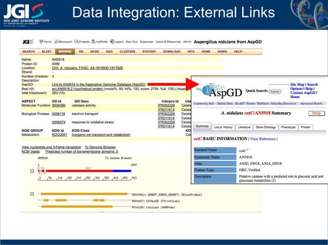 Genomics data integration, analysis, and curation using MycoCosm | PPTX