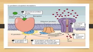 Cell Receptors | PPTX