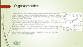 Biomembrane and its composition | PPTX