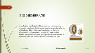 Biomembrane and its composition | PPTX