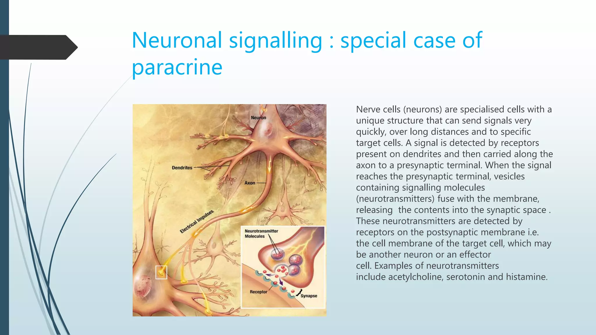 Introduction to cell signalling | PPTX