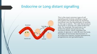 Introduction to cell signalling | PPTX