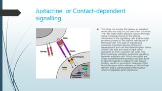 Introduction to cell signalling | PPTX