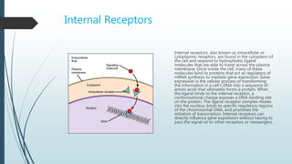 Introduction to cell signalling | PPTX
