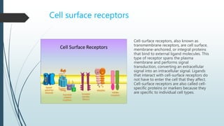 Introduction to cell signalling | PPTX