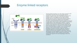 Introduction to cell signalling | PPTX