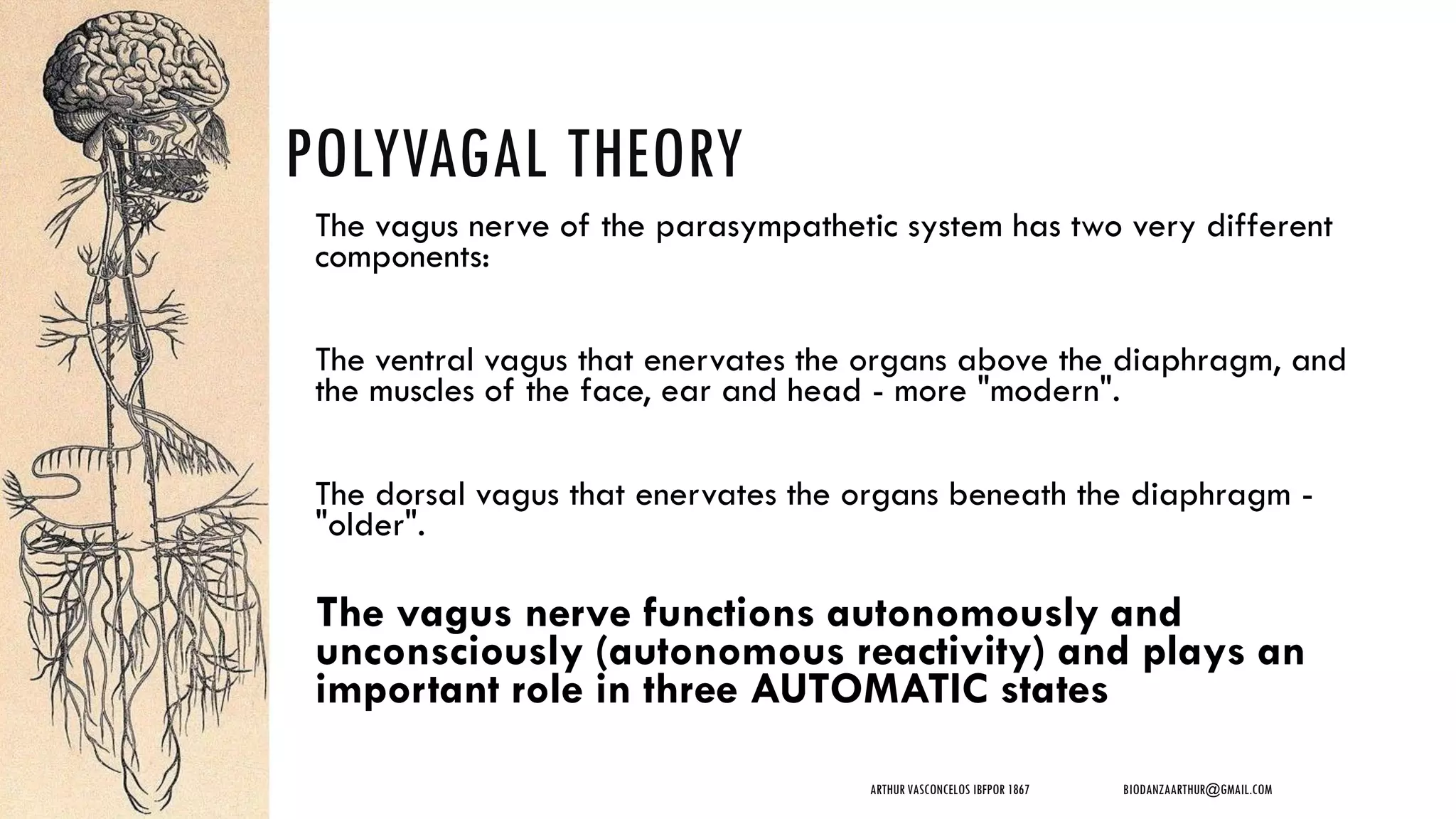 Biodanza and polyvagal theory for publication j. arthur vasconcelos 29 ...