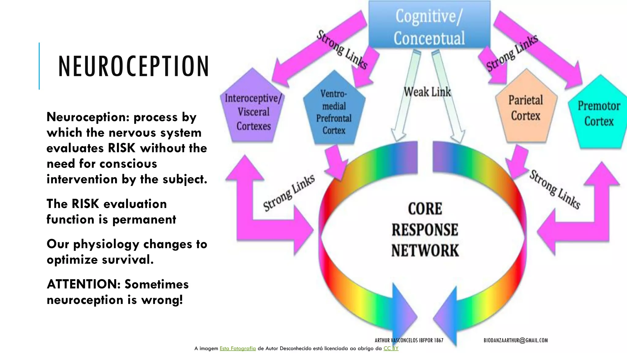 Biodanza and polyvagal theory for publication j. arthur vasconcelos 29 ...