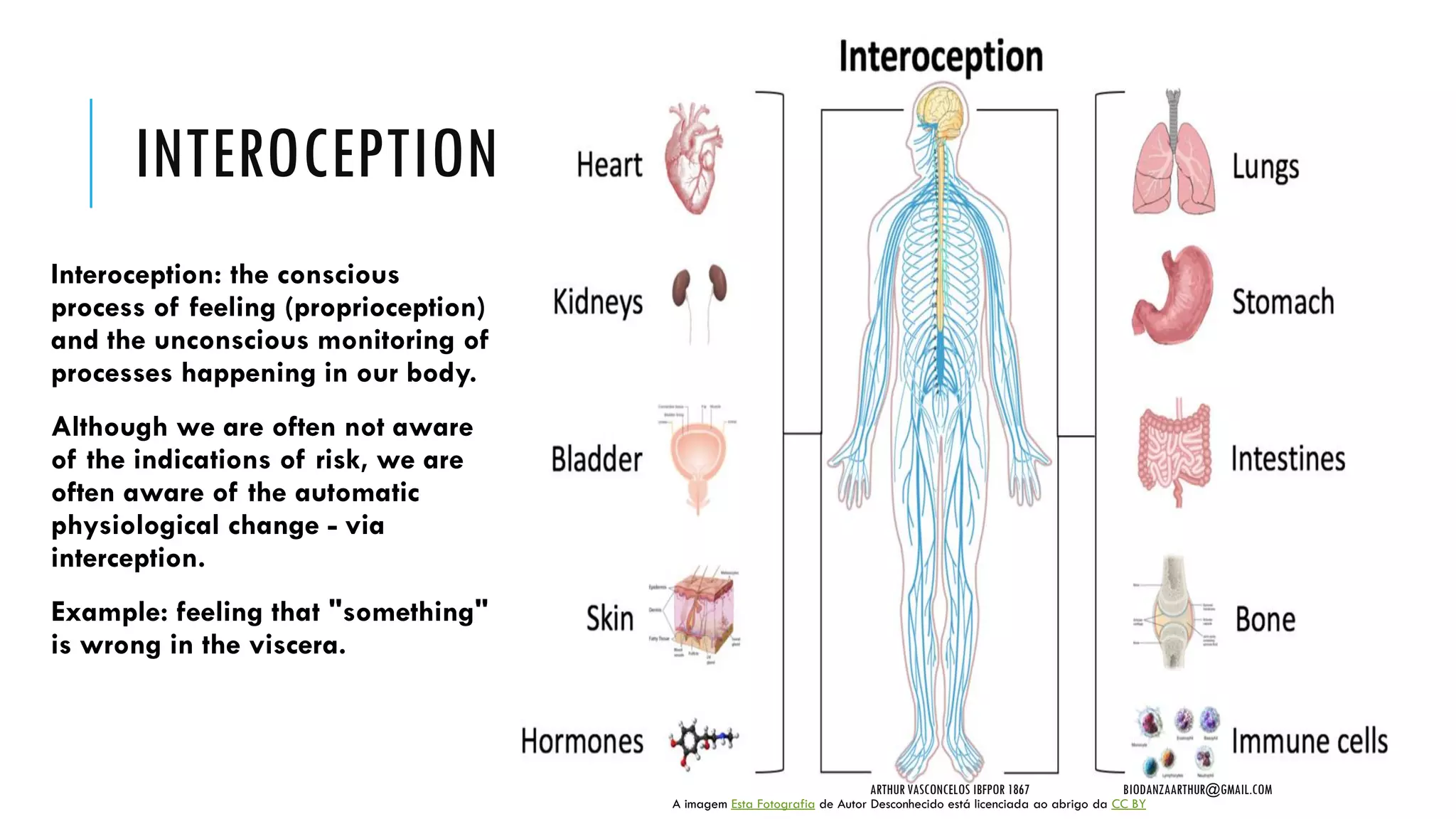 Biodanza and polyvagal theory for publication j. arthur vasconcelos 29 ...