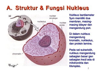Biodasar 8 nukleus materi genetik | PPT
