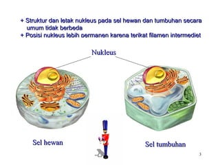 Biodasar 8 nukleus materi genetik | PPT