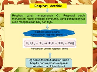 celluler respiration | PPTX