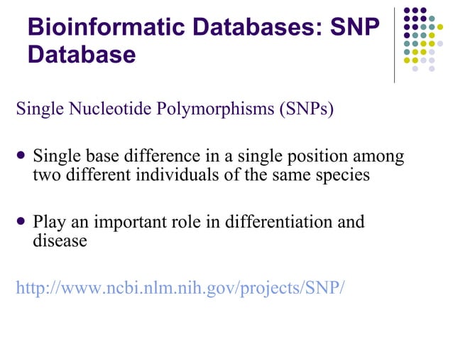 Biodatabases 101220022654-phpapp02 | PPT