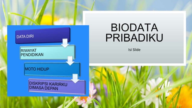 Tugas TIK-Biodata diri | PPT