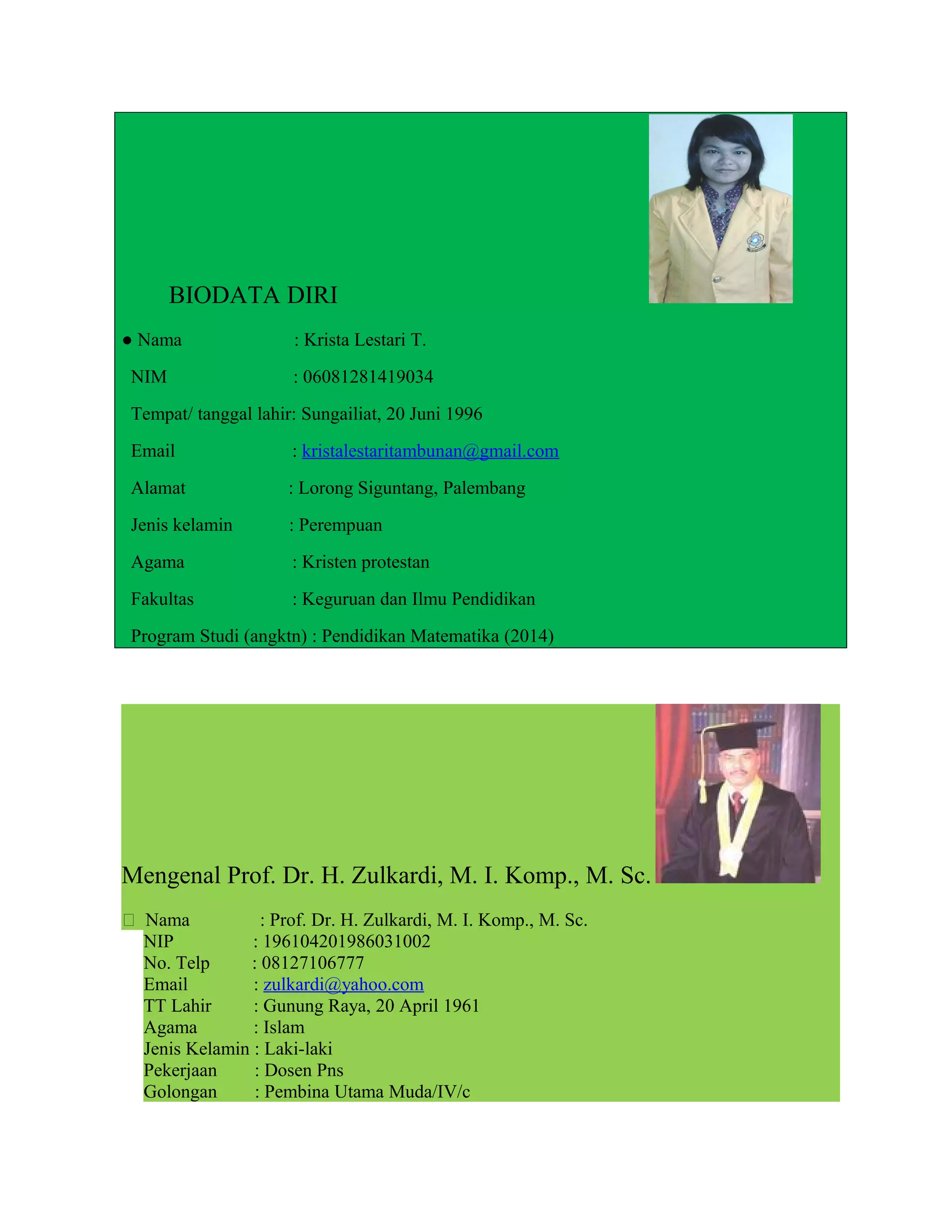 Biodata Diri | PDF
