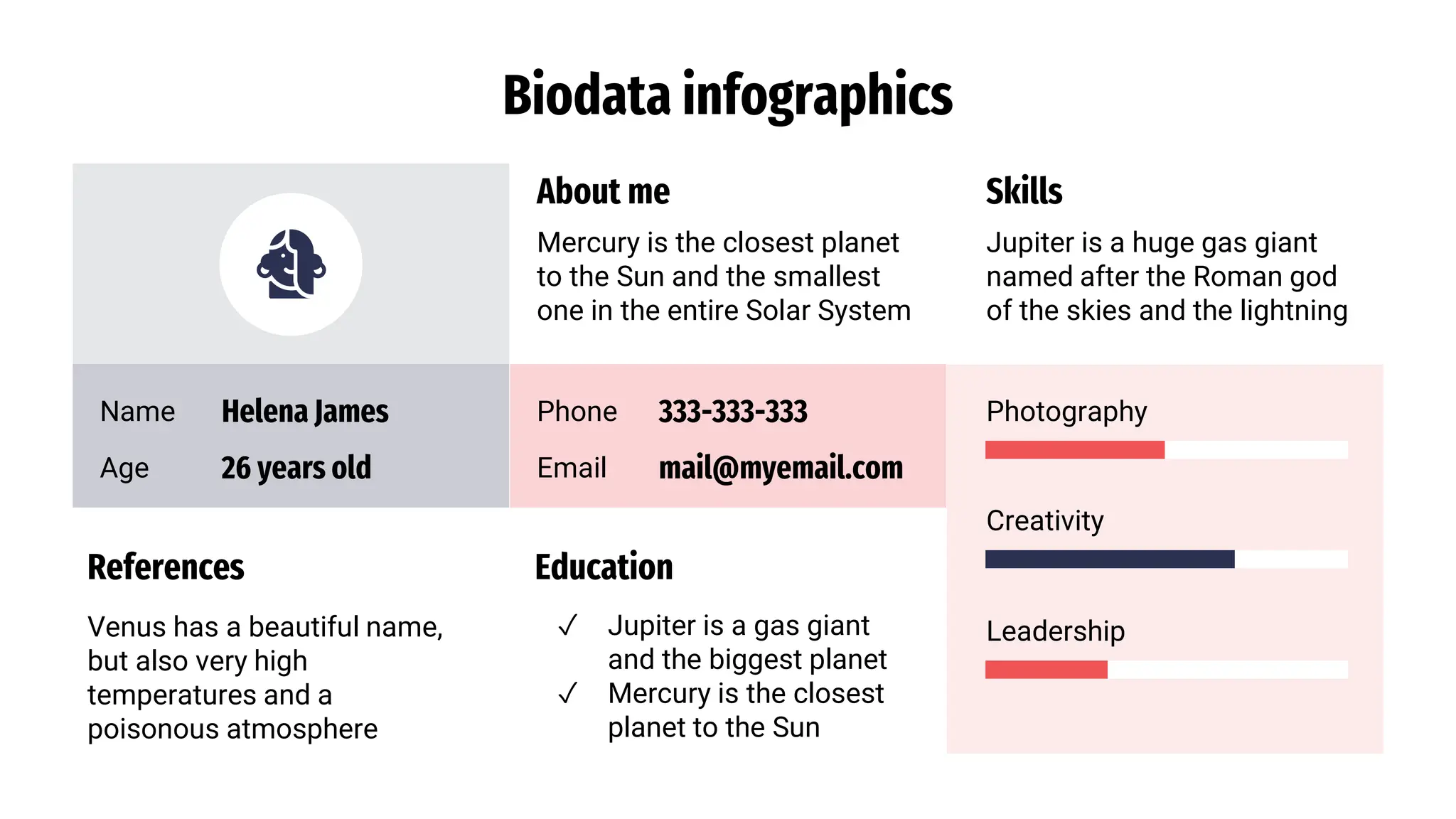 Templates Biodata Infographics excel .pptx