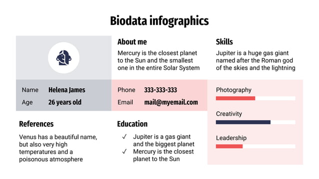 Templates Biodata Infographics excel .pptx