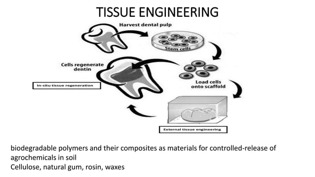 Biodegradable polymers for controlled release & Hydrogel classification ...