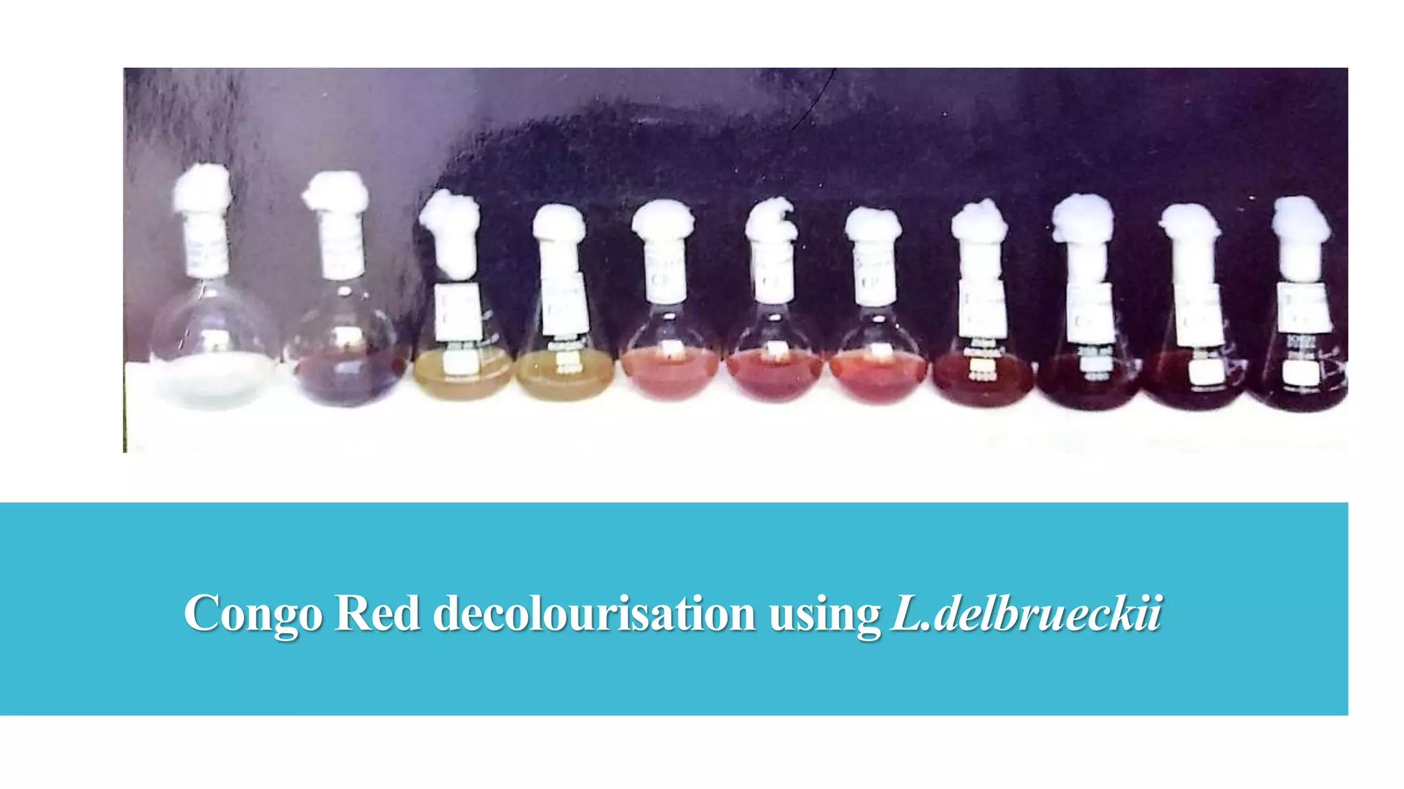 Biodecolourisation of the azo dye, congo red using the bacterium ...