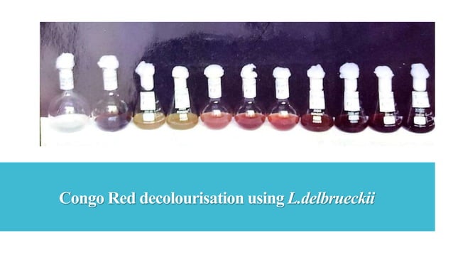 Biodecolourisation of the azo dye, congo red using the bacterium ...