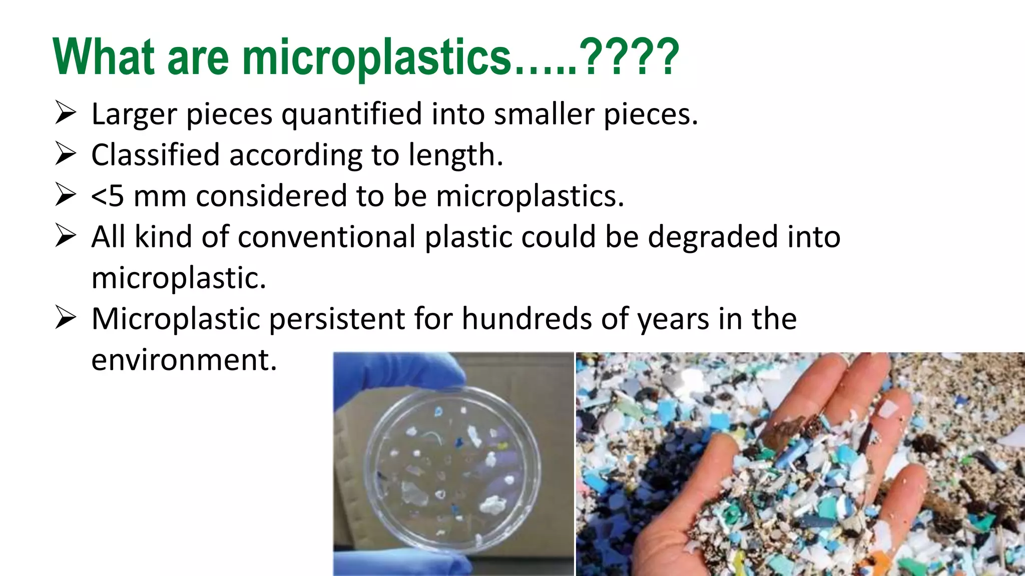 Biodegradable Additive.pptx