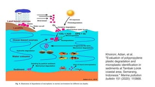 Biodegradable Additive.pptx