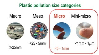 Biodegradable Additive.pptx