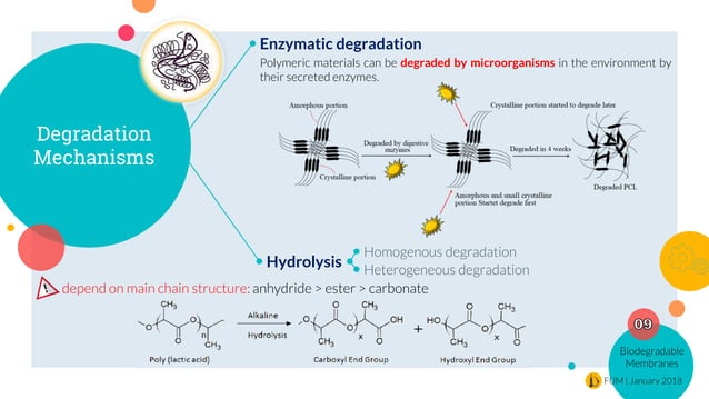 Biodegradable membranes | PDF | Chemistry | Science