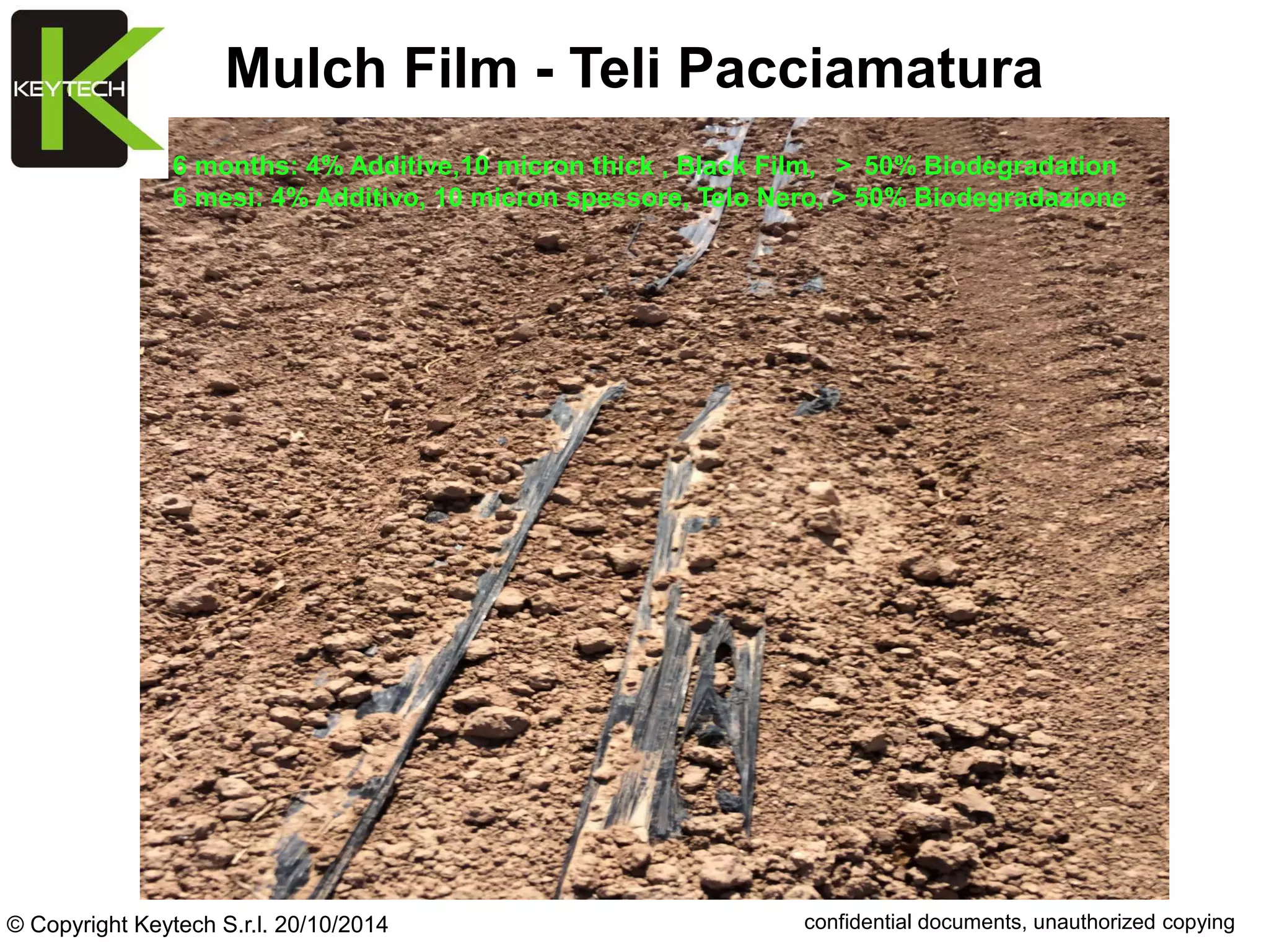 Biodegradable mulch film teli pacciamatura biodegradabili | PDF