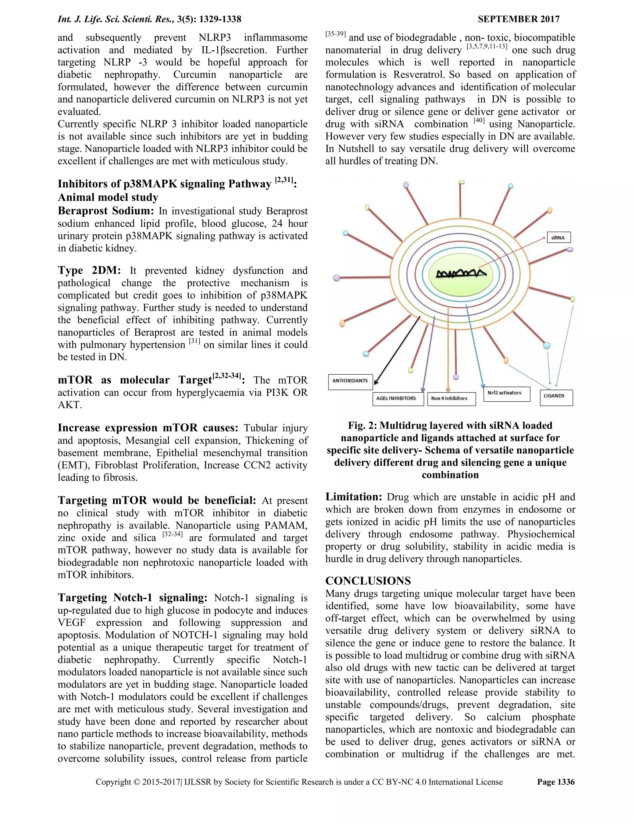 Biodegradable Nanoparticles for Delivering Drugs and Silencing Multiple ...