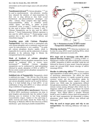 Biodegradable Nanoparticles for Delivering Drugs and Silencing Multiple ...