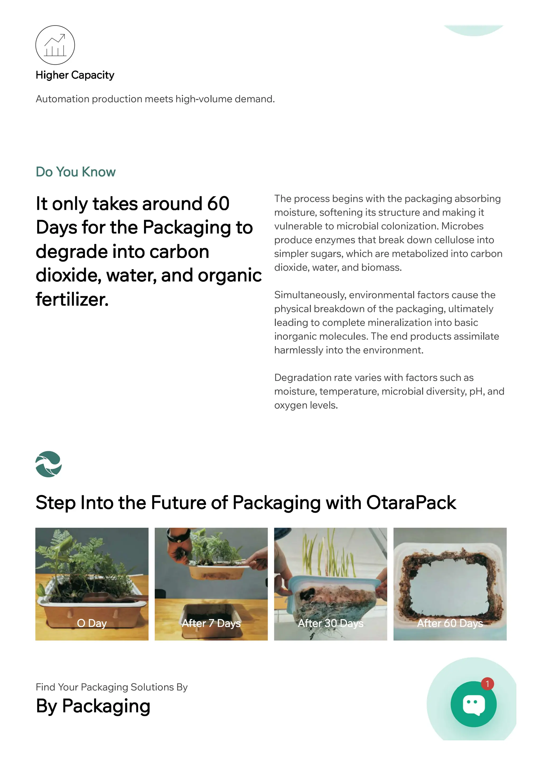 biodegradable packaging design.pdf
