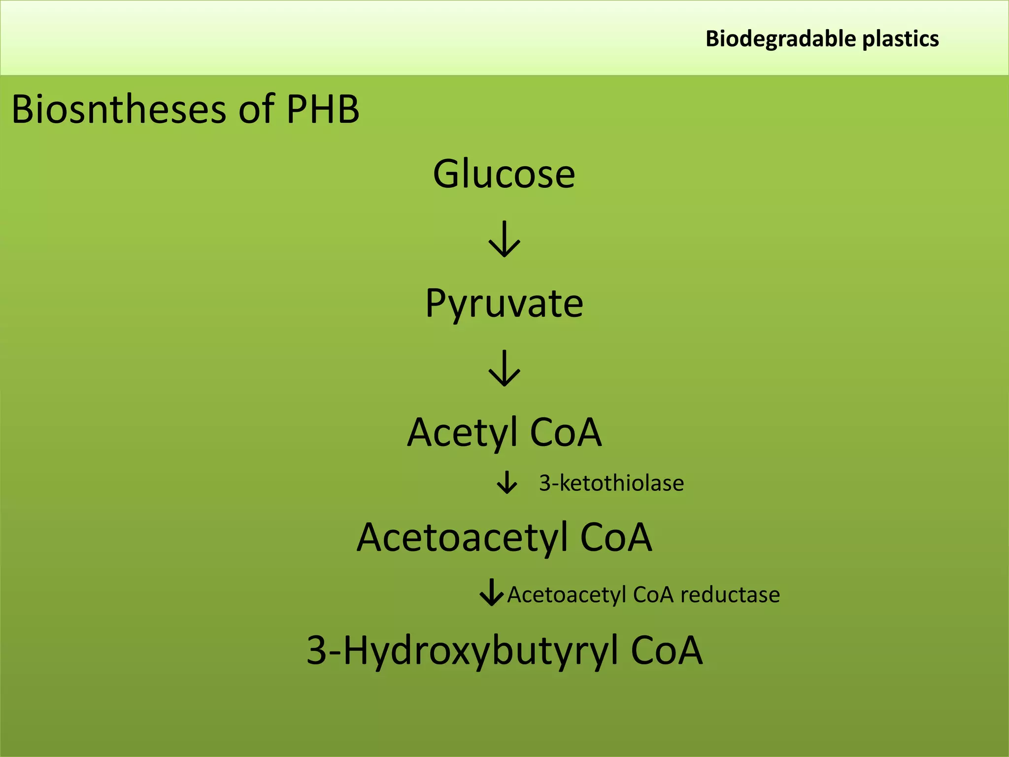 Biodegradable plastic plant biotech. | PPTX
