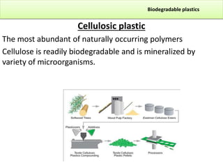Biodegradable plastic plant biotech. | PPTX