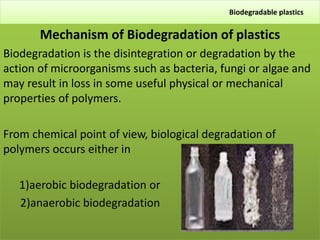 Biodegradable plastic plant biotech. | PPTX