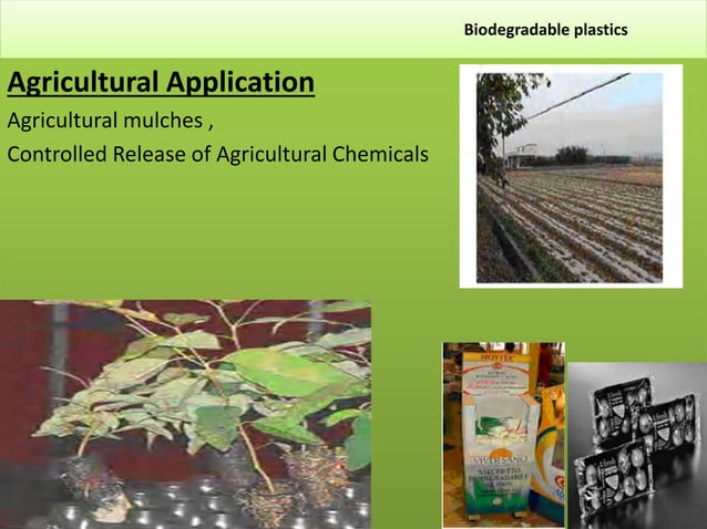 Biodegradable plastic plant biotech. | PPTX