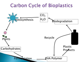 biodegradable plastic.pptx
