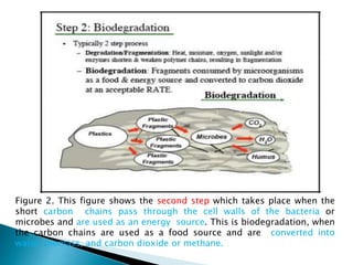 biodegradable plastic.pptx