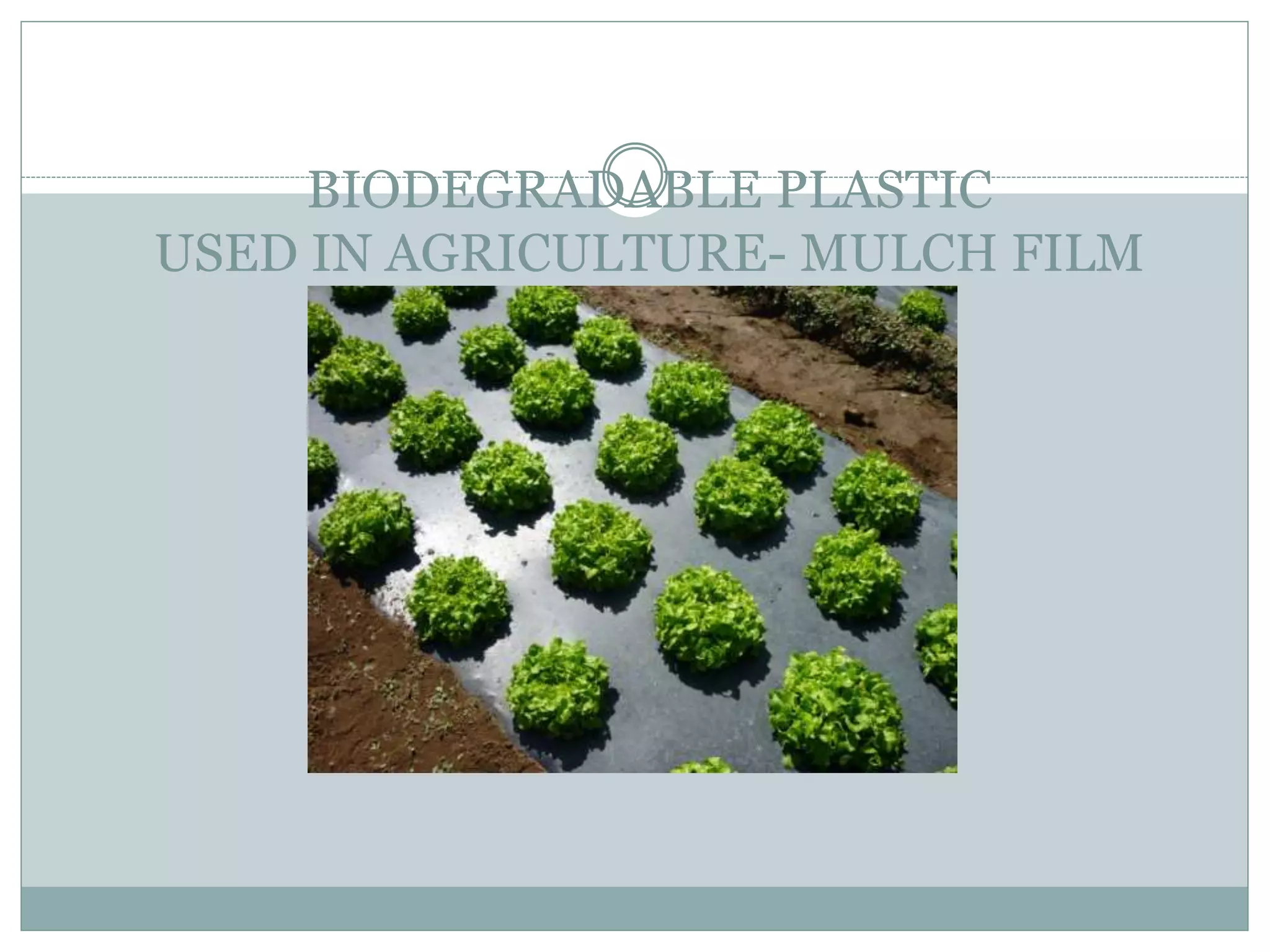 Biodegradable plastics by vimalsubbu | PPT