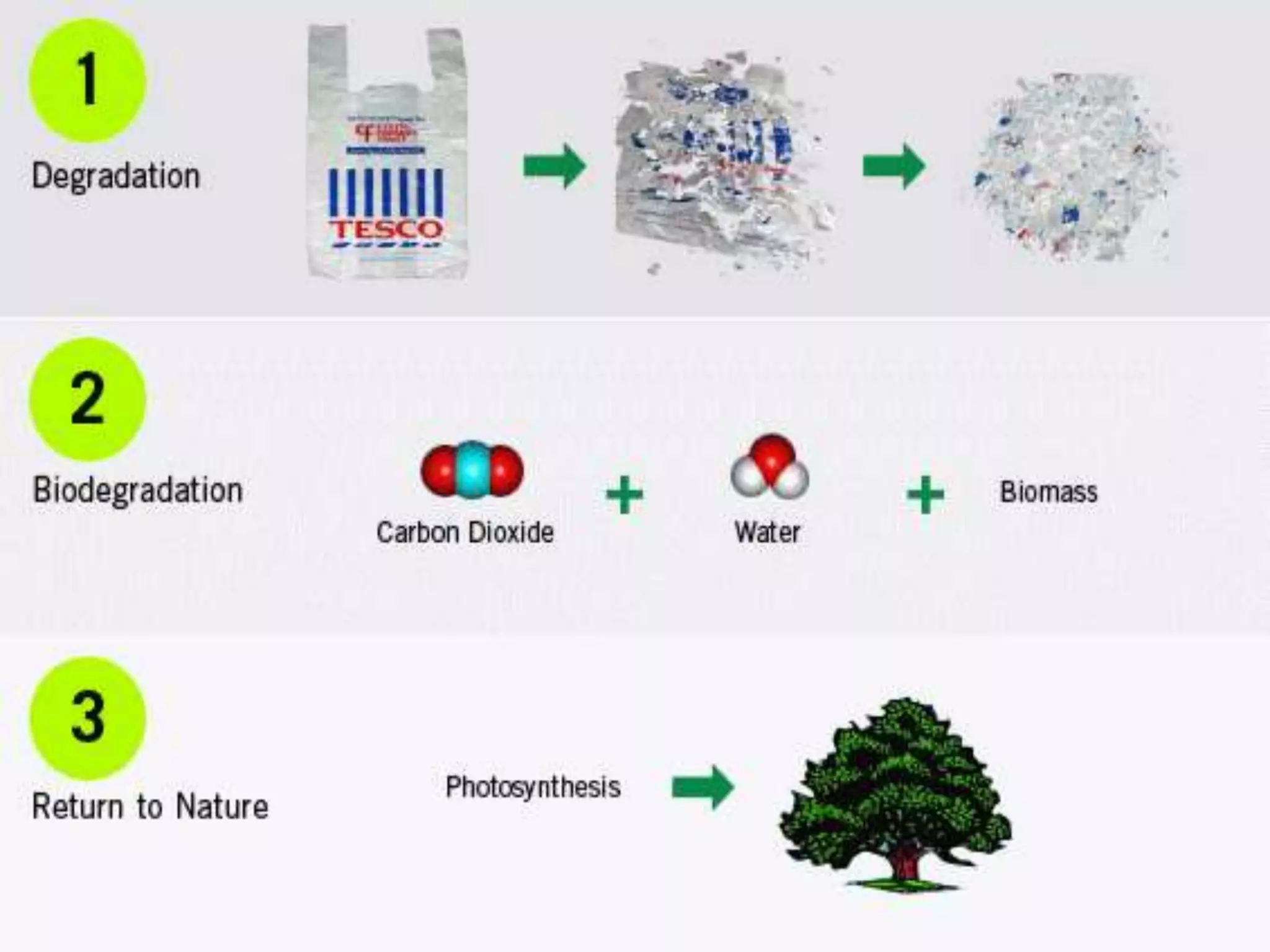 Biodegradable Polymers | PPTX