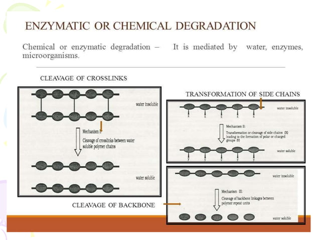 biodegradable polymers pptx | PPTX | Chemistry | Science