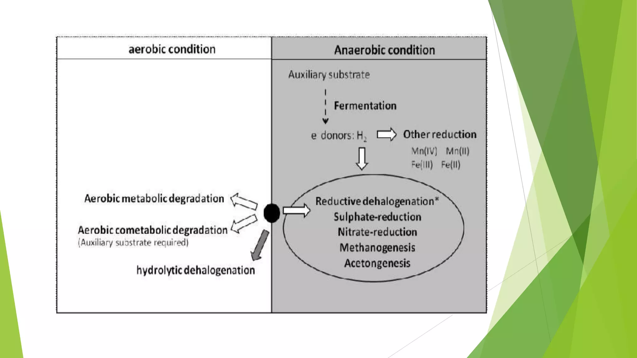 Biodegradation | PPTX | Biotech and Biomedical Industry | Industries
