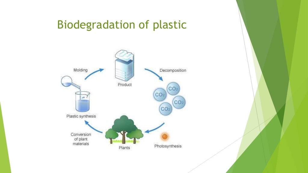 Biodegradation