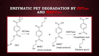 Plastic Biodegradation | PPTX